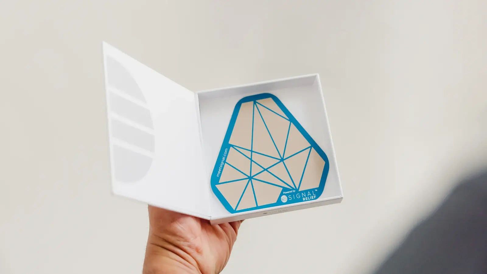 Understanding Electroceuticals - Signal Relief